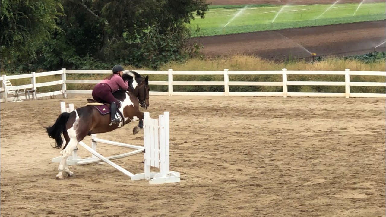Erin Oxford & Fezzik - Class 14 - 2’3” Eq O/F - YouTube