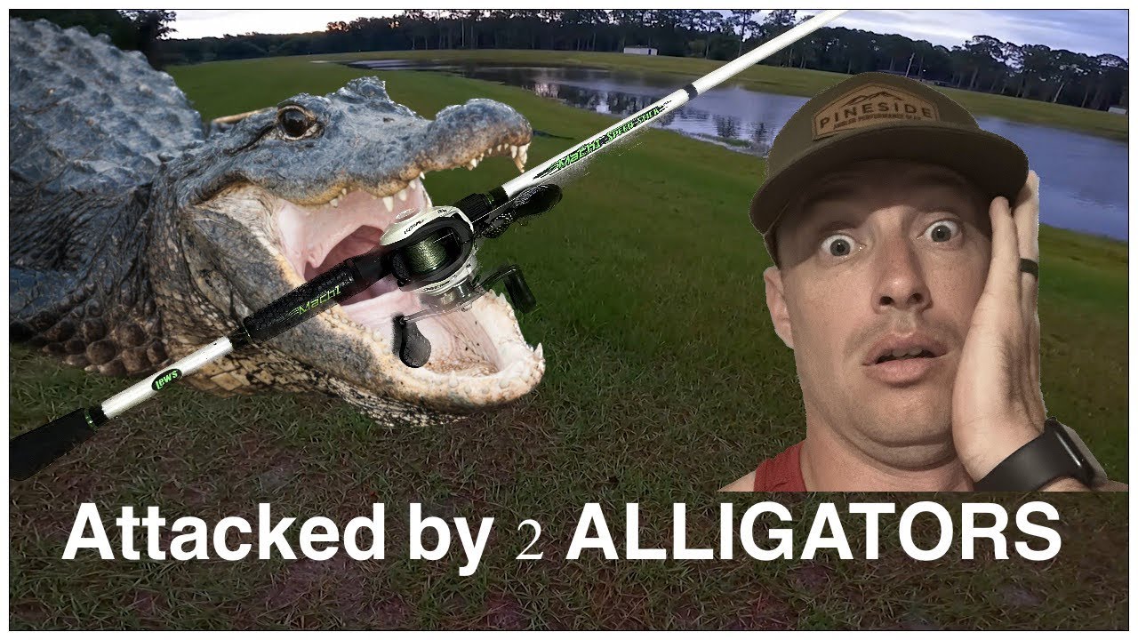 Alligator EATS my Rod and Reel!! (Twice) - YouTube