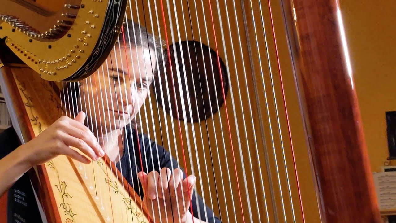 Hejo, where did you go? | Maren Ferber, Harfe - YouTube