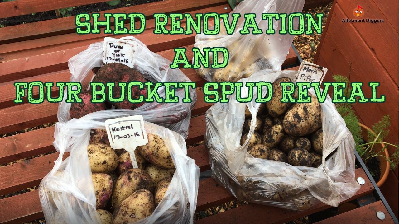 Shed And Spuds Reveal - YouTube
