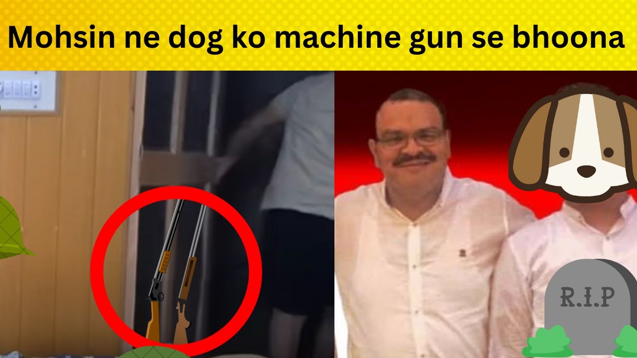 Mohsin Is torturing his dog due to less views. - YouTube