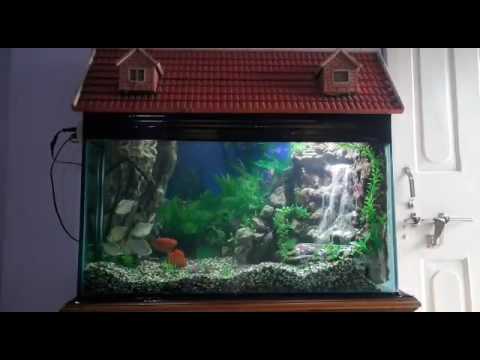 Diy Waterfall aquarium - YouTube