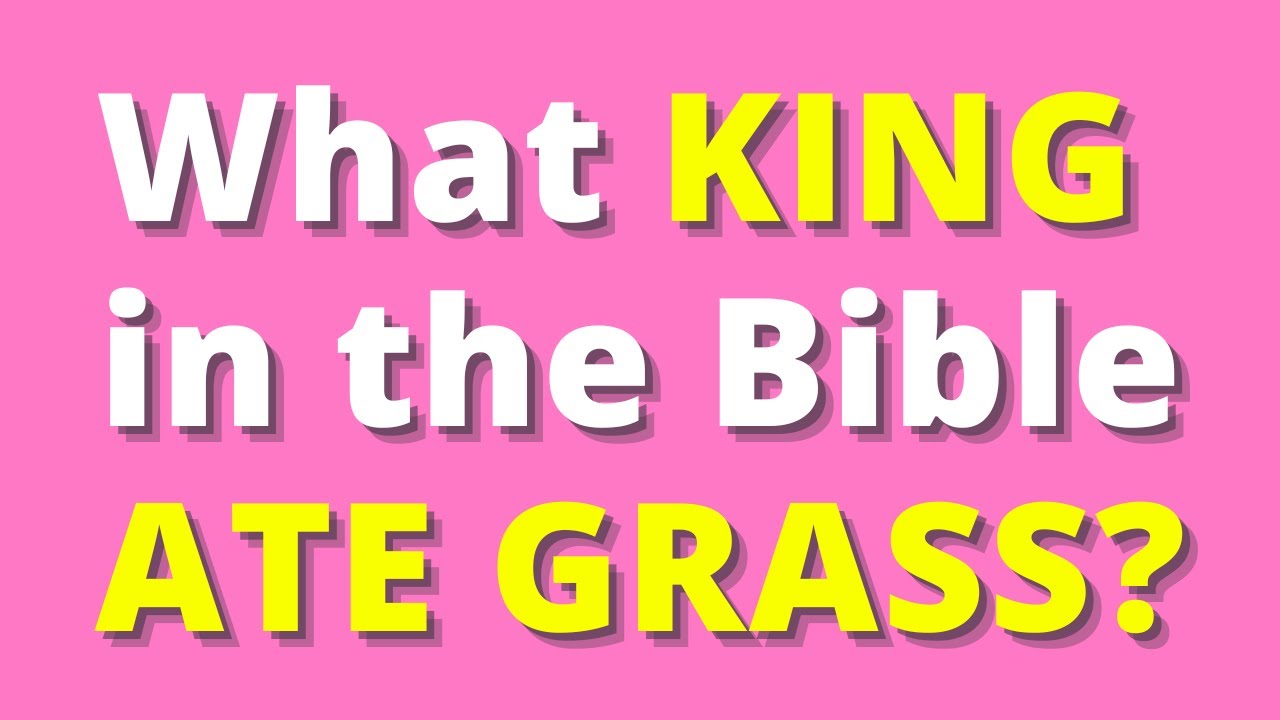 20 Interesting Bible Questions And Answers BIBLE QUIZ YouTube 20-interesting-bible-questions-and-answers-bible-quiz-youtube