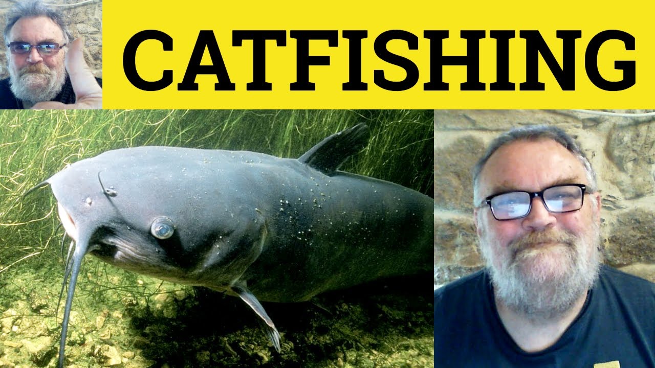 😎 Catfishing Meaning - Catfish Defined - Catfishing Examples - Catfish ...