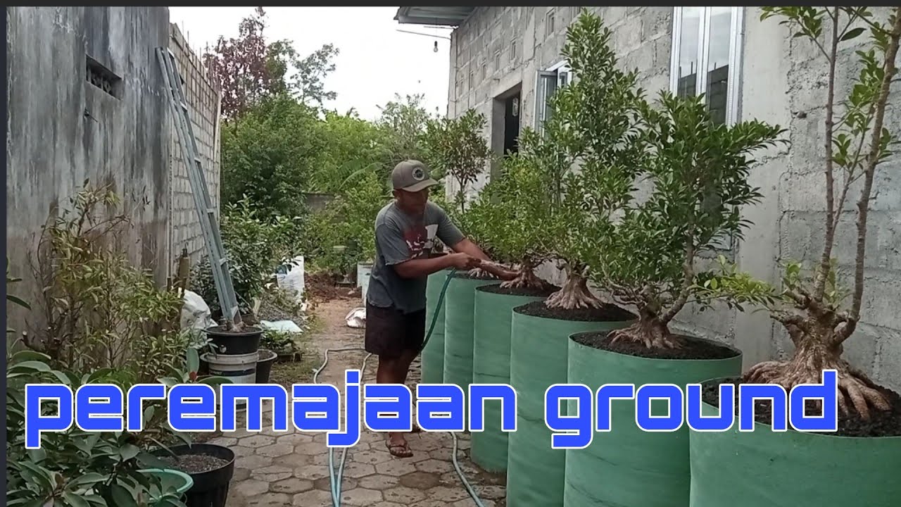 peremajaan grounding kimeng - YouTube