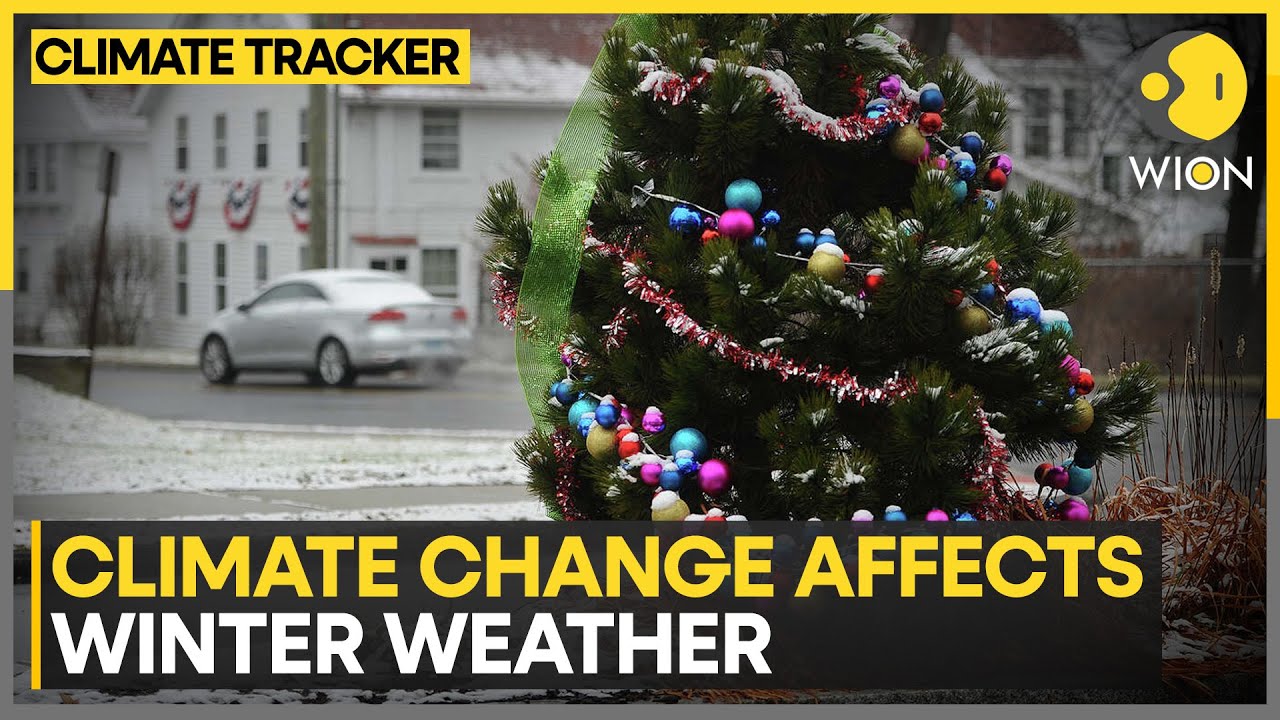 Impact of Climate Change on White Christmas | WION Climate Tracker ...
