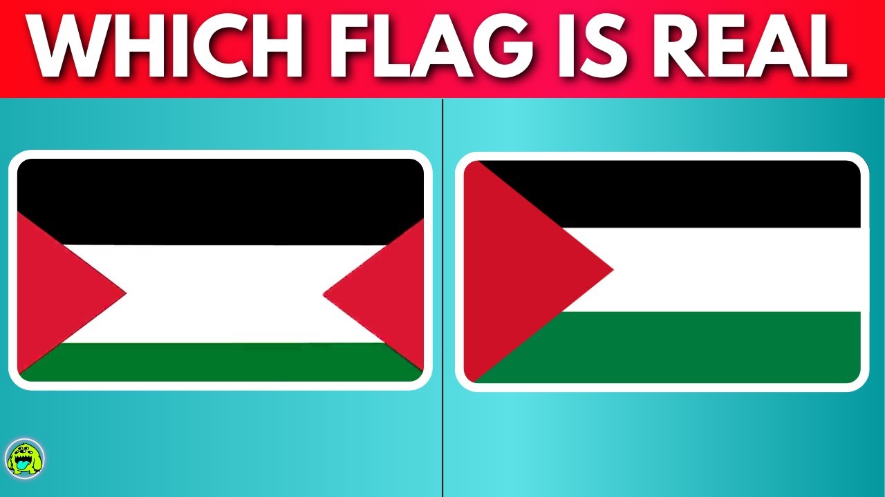Guess The Correct Flag | Guess and Learn Flags From All Around The ...