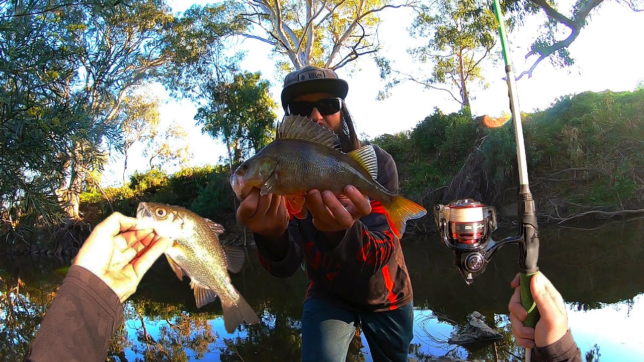 SOLO Freshwater River Redfin & Estuary Perch FISHING W/ Lure & NEW REEL ...