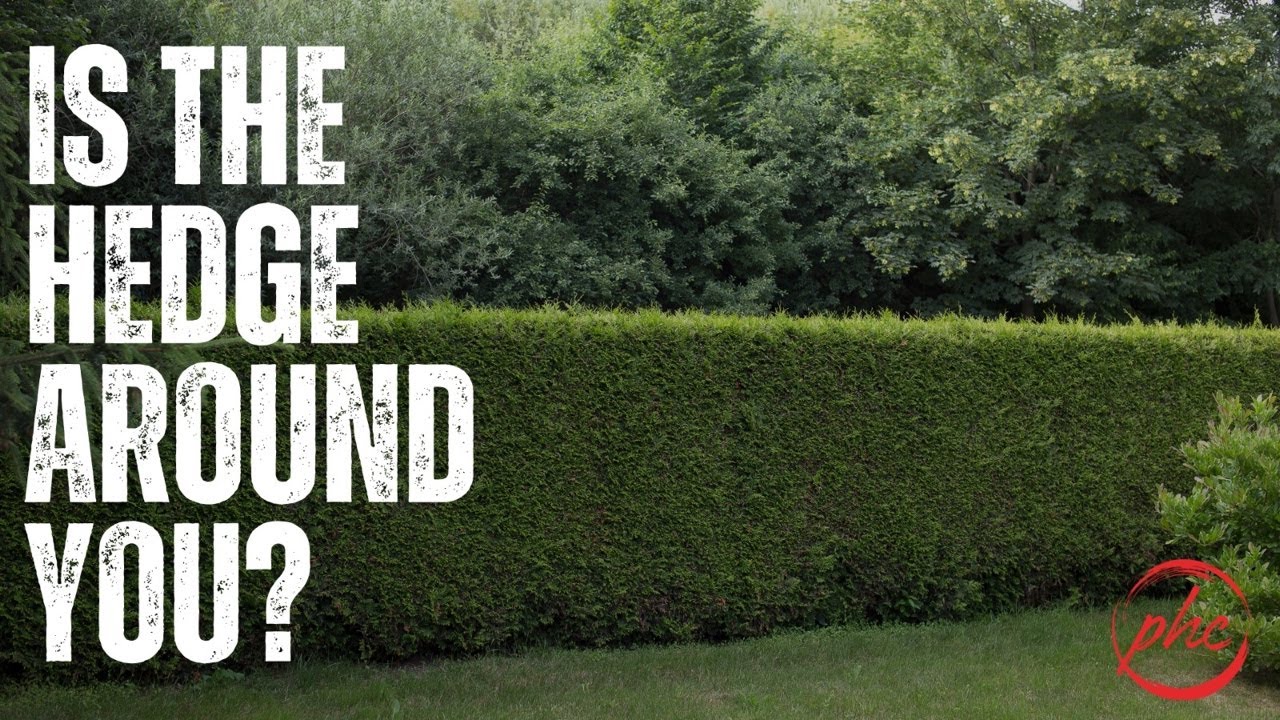 Is The Hedge Around You - YouTube