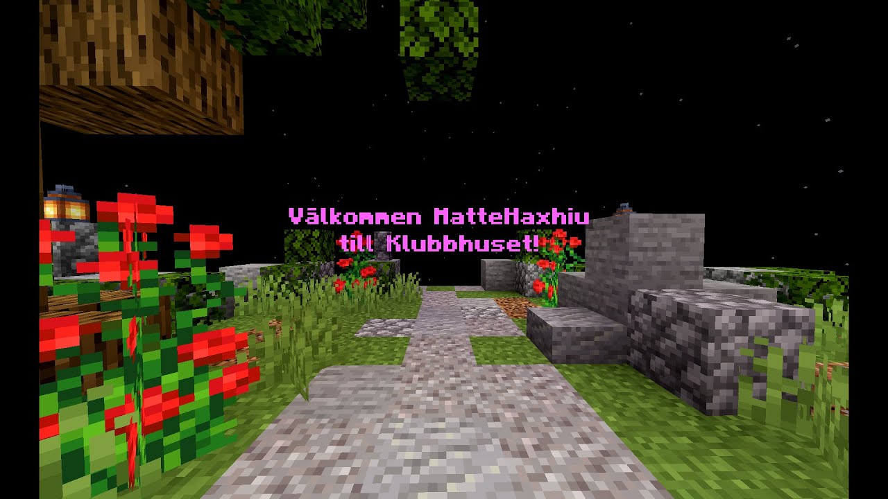 Jag öppnar en Minecraft-server! - YouTube