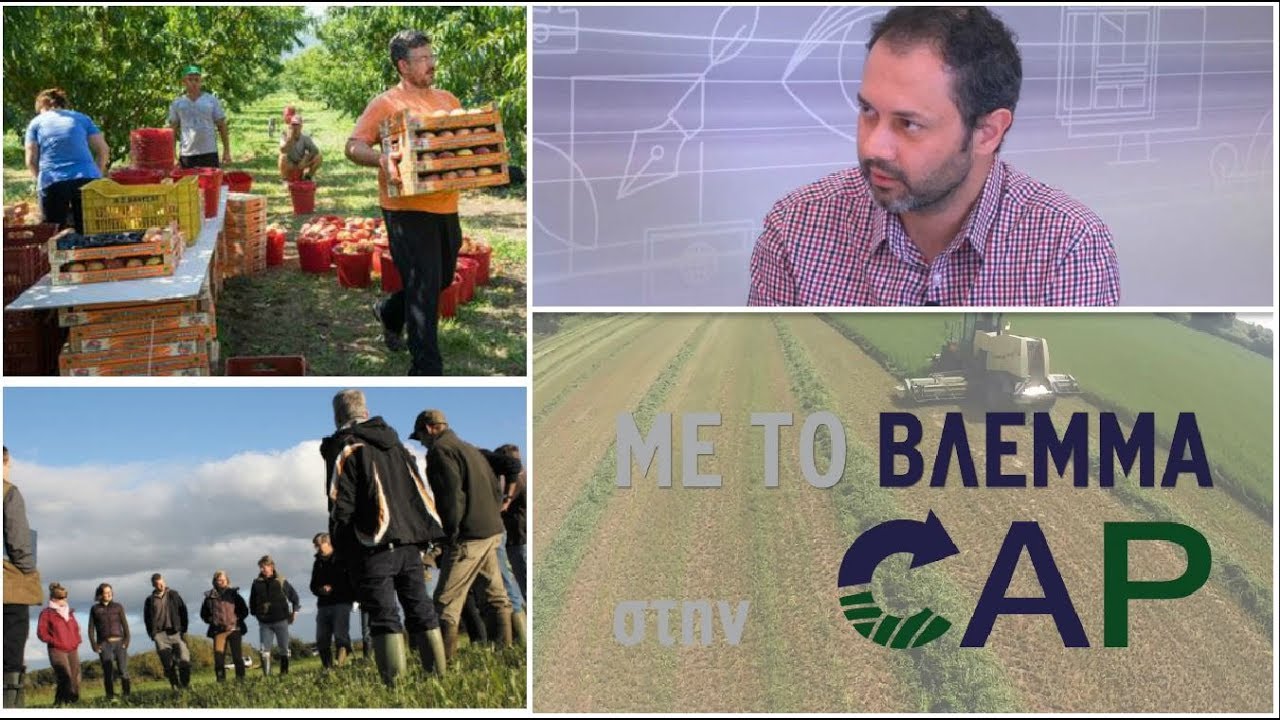 Με το βλέμμα στην CAP: Οργανώσεις Παραγωγών | Ο ρόλος τους στη νέα ΚΑΠ ...
