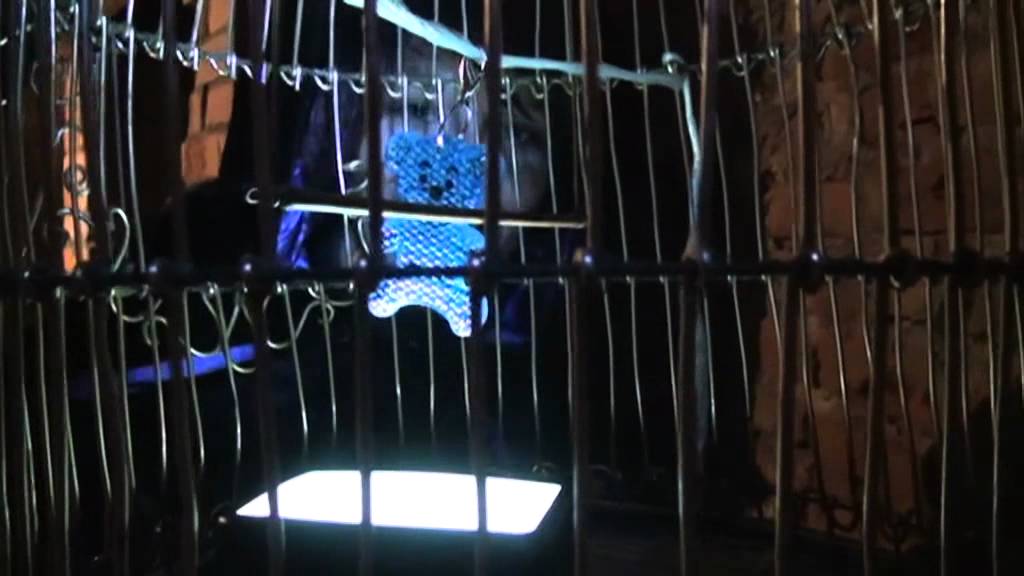 Oranžinės komandos fantastinis filmas „Mėlynojo meškiuko pagrobimas ...