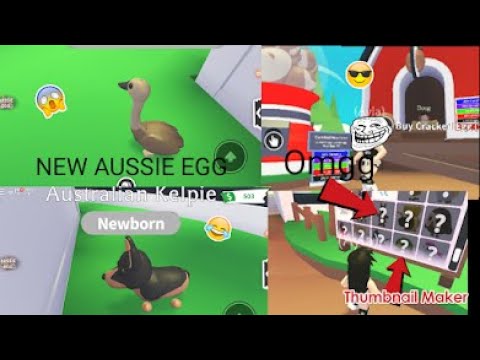 NEW AUSSIE EGGS!!!! IN ADOPT ME!! ROBLOX!! Emu / Dingo / Bandicoot and ...