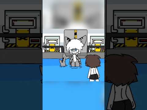 animação do CHANGED Tiger shark - YouTube