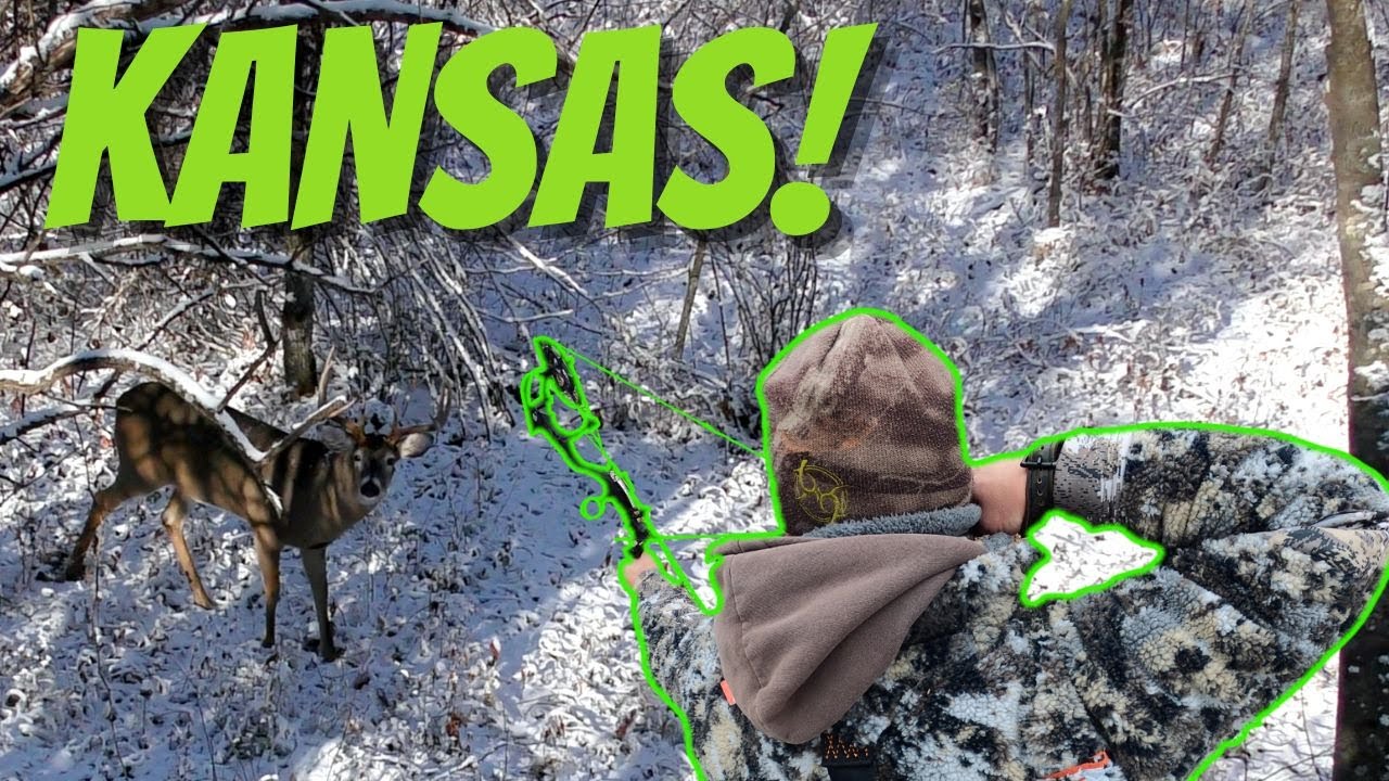 KANSAS Public Land Bow Hunting - Solo out of state Hunt🦌 - YouTube