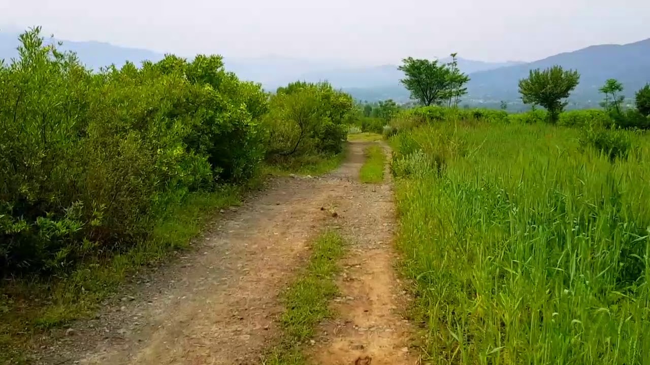 swat valley, swat beauty,pakistan beauty, swat, nature, swat in spring ...