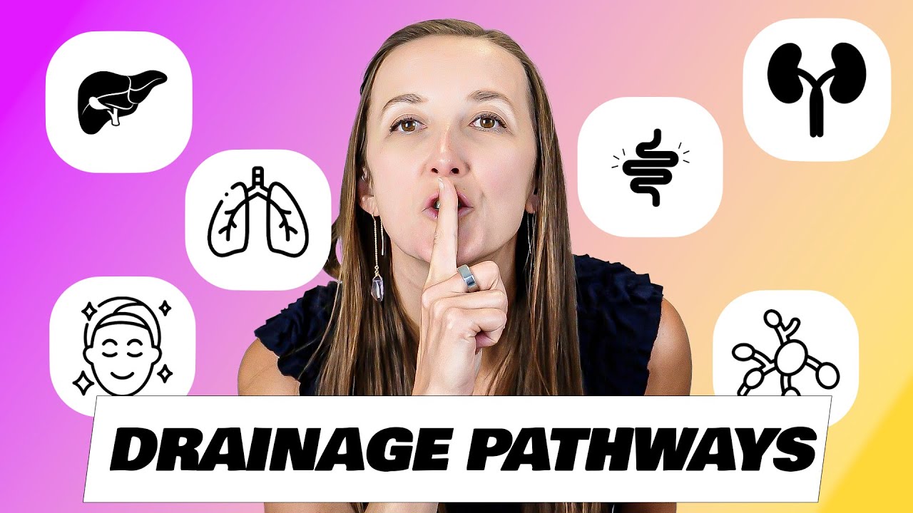 6 major Drainage Pathways Involved in Eliminating Toxins From the Human ...