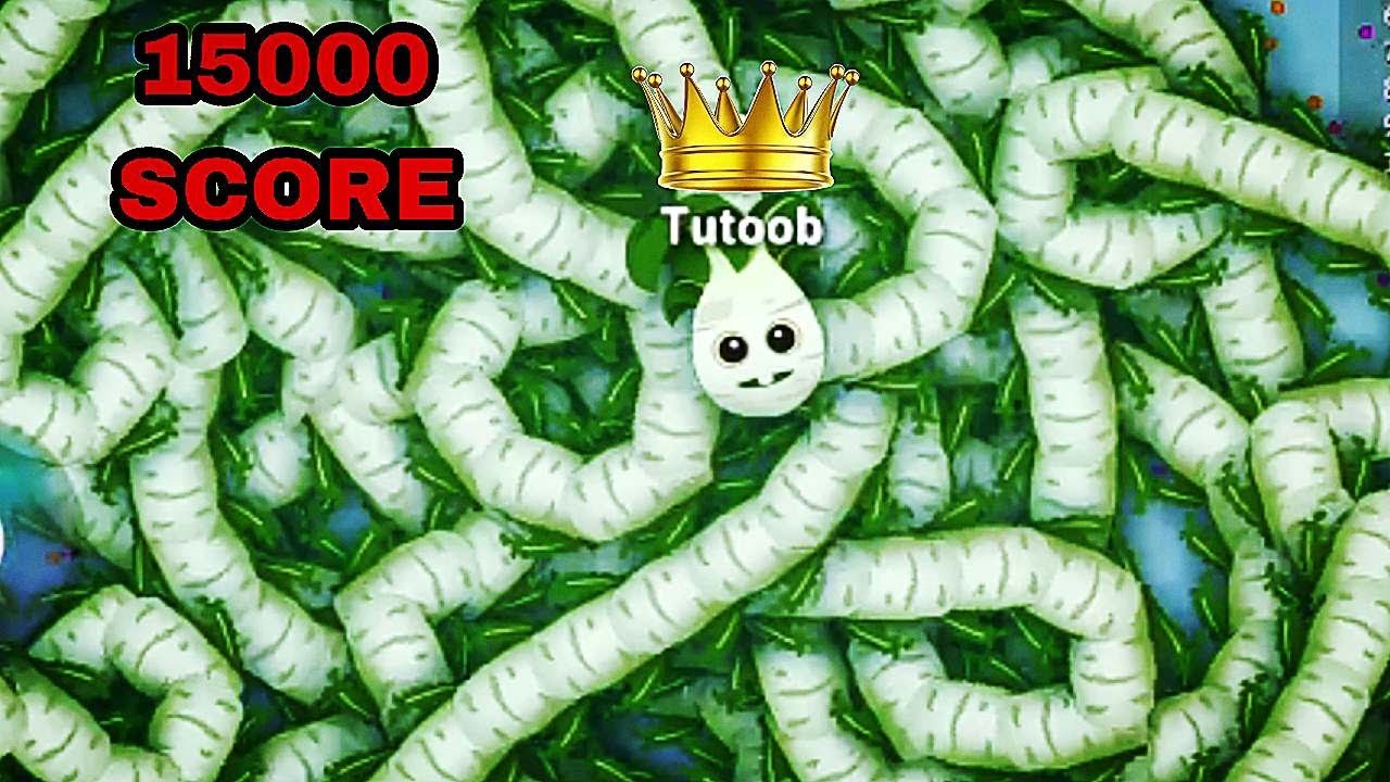 Snake io | Biggest snake king 15000 best highest score pro player - YouTube