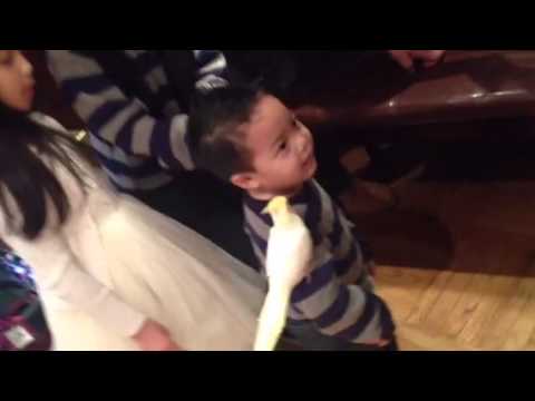 Isaiah's bird - YouTube