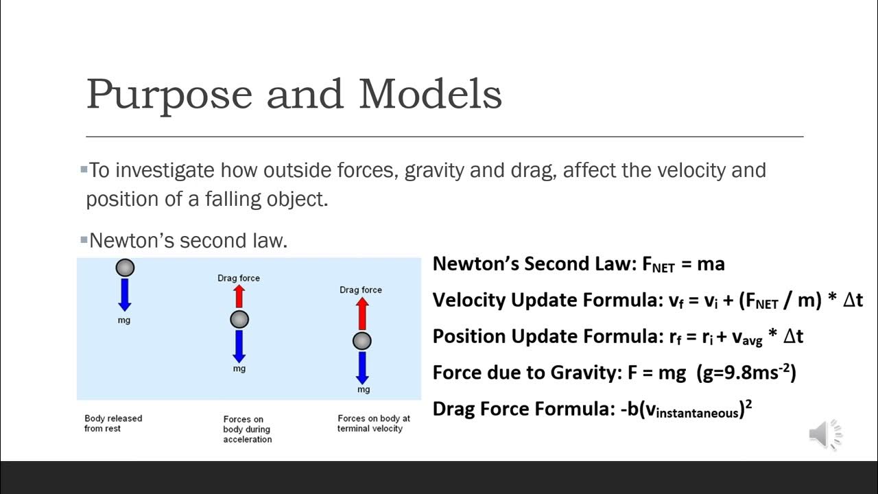 Georgia Tech PHYS 2211 Lab 2 - Motion of a Falling Object - YouTube