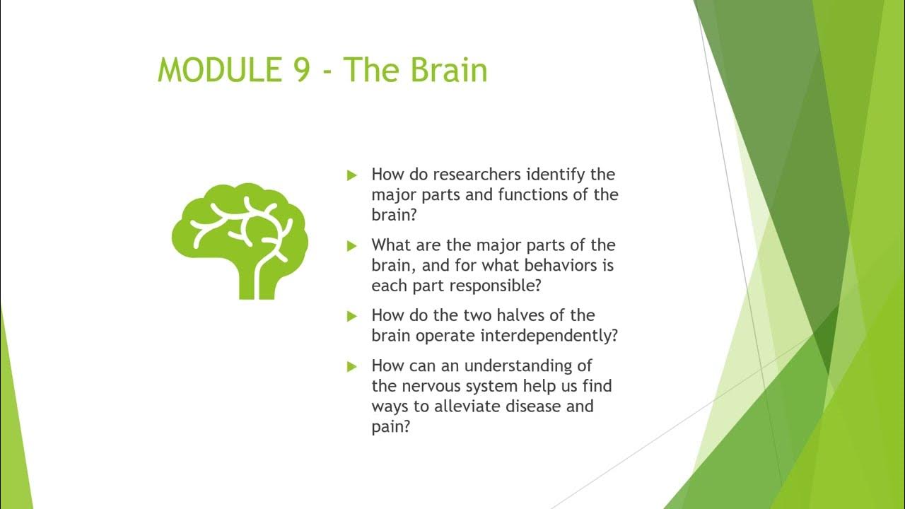 Chapter 3 MODULE 9 RECORDING - YouTube