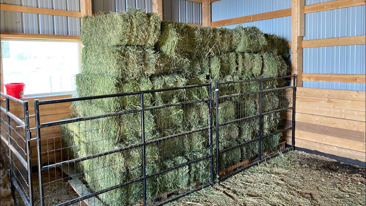 Packing Hay into the Barn - YouTube
