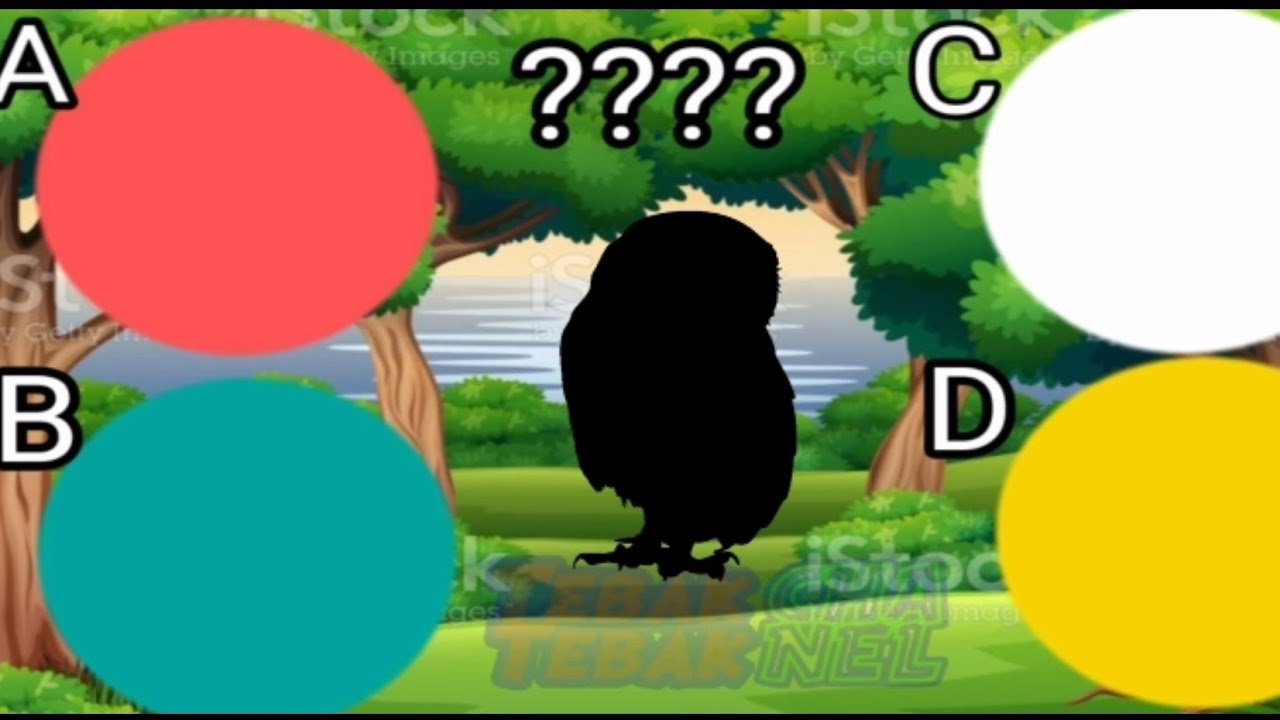 Quis? Coba tebak gambar hewan apa ini (tebak gambar) kelinci, burung ...