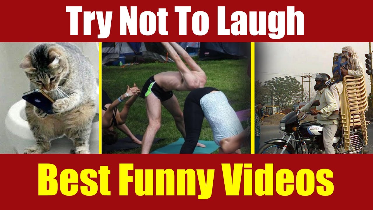 Best Funny Videos 🤣 People Being Idiots|😂 Try Not To|Laugh most funny ...