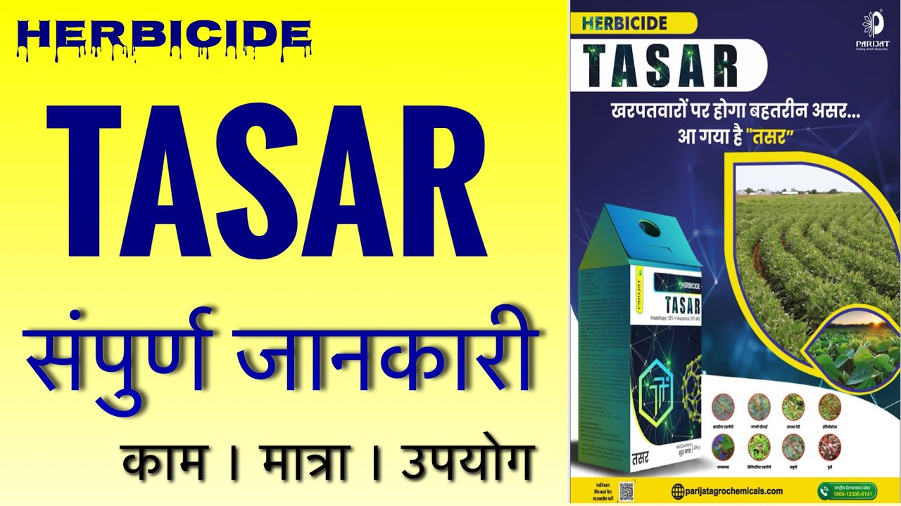 Tasar Herbicide Parijat: DOES IT WORK? (2024) #farming - YouTube