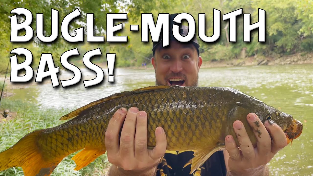 Smallmouth, Spotted and..... BUGLE-MOUTH BASS????? - YouTube