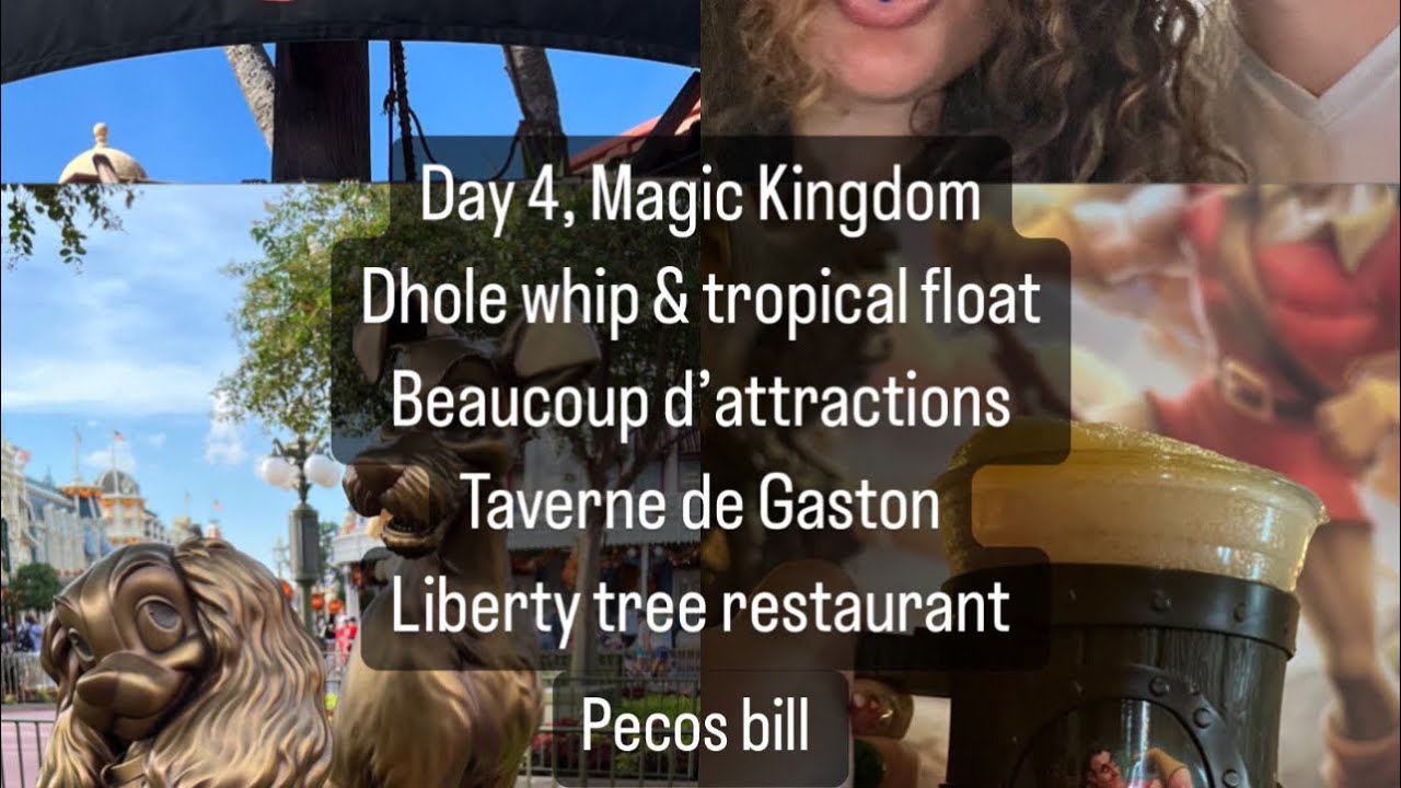 Day 4 à Magic Kingdom, food & attractions - YouTube