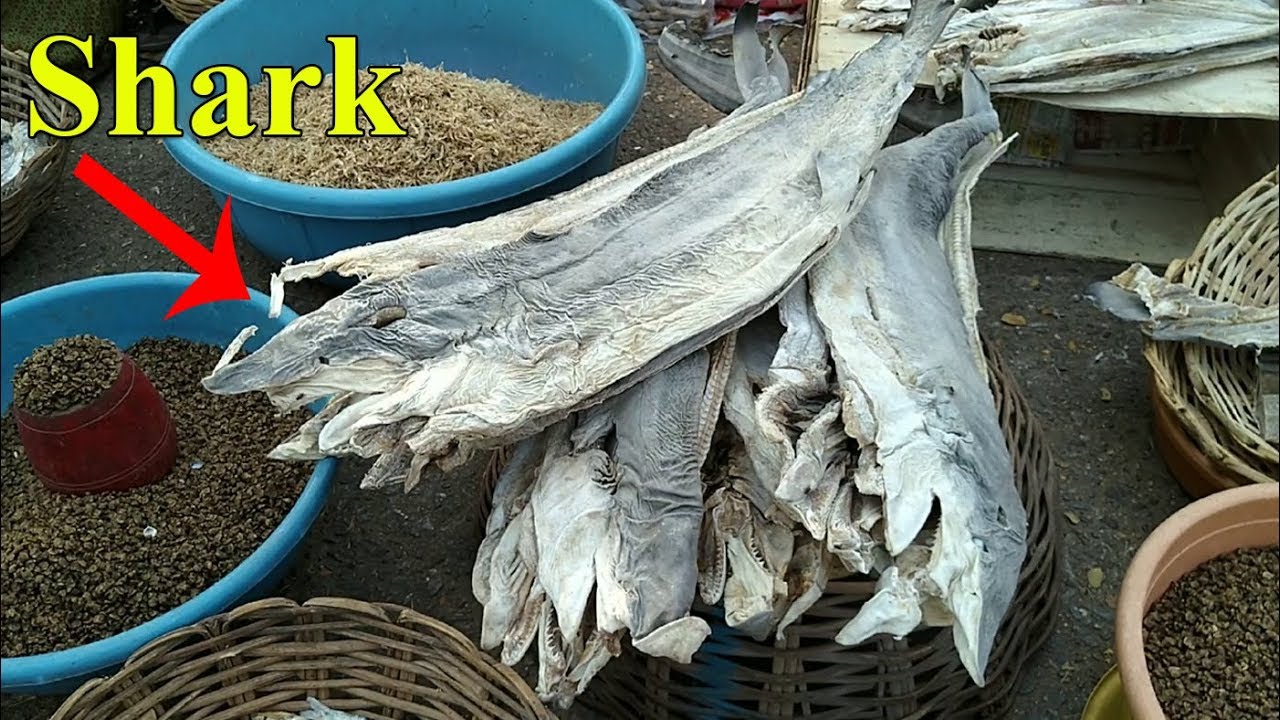 Shark Dried Fish | Karwar Fish Market | Different Types of Fishes ...