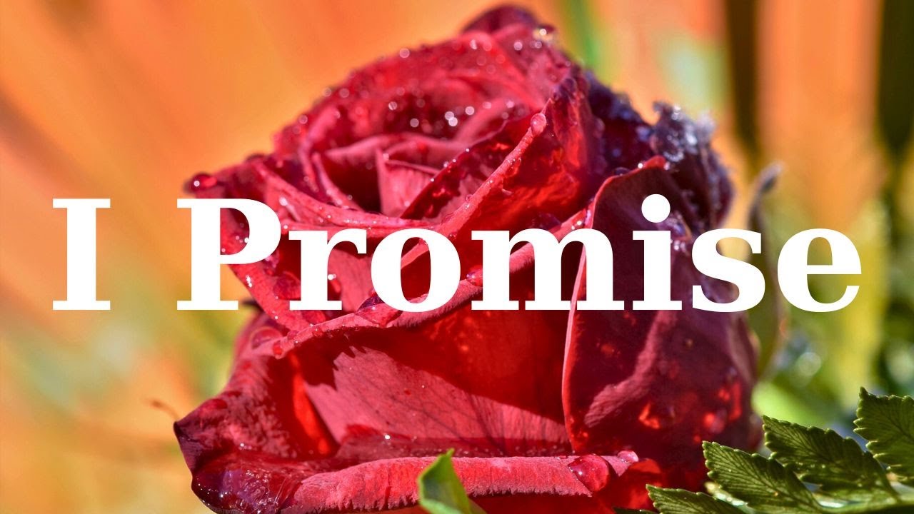 Eternal Promise/I Love you - YouTube