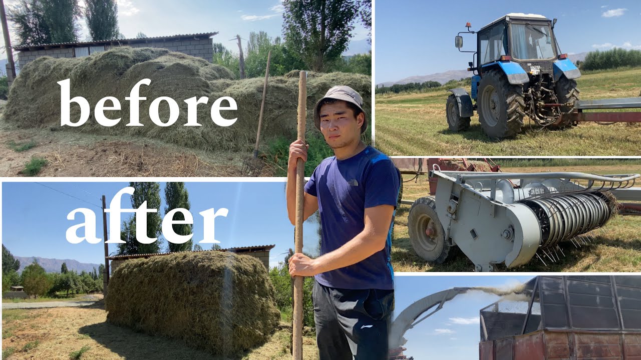 "A Day in the Life of a Young Man: From Morning Hay Gathering to ...