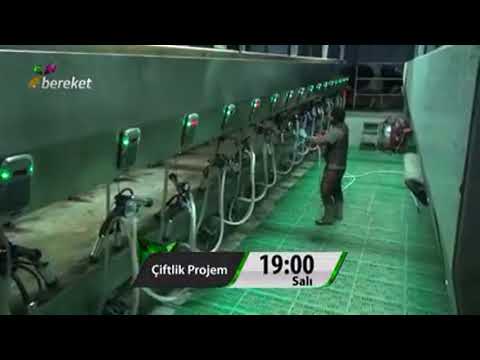 Çiftlik projem sağımhane sağım sistemi