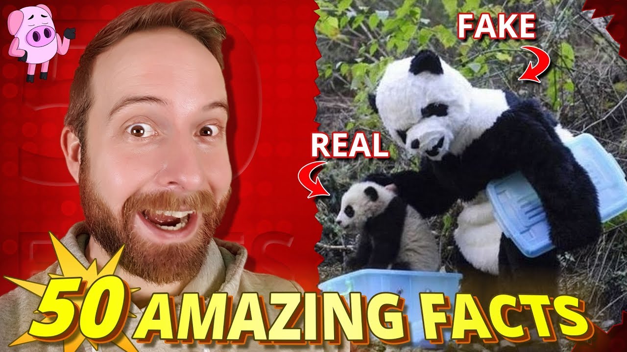 50 Amazing Facts You Won't Believe Are True - YouTube