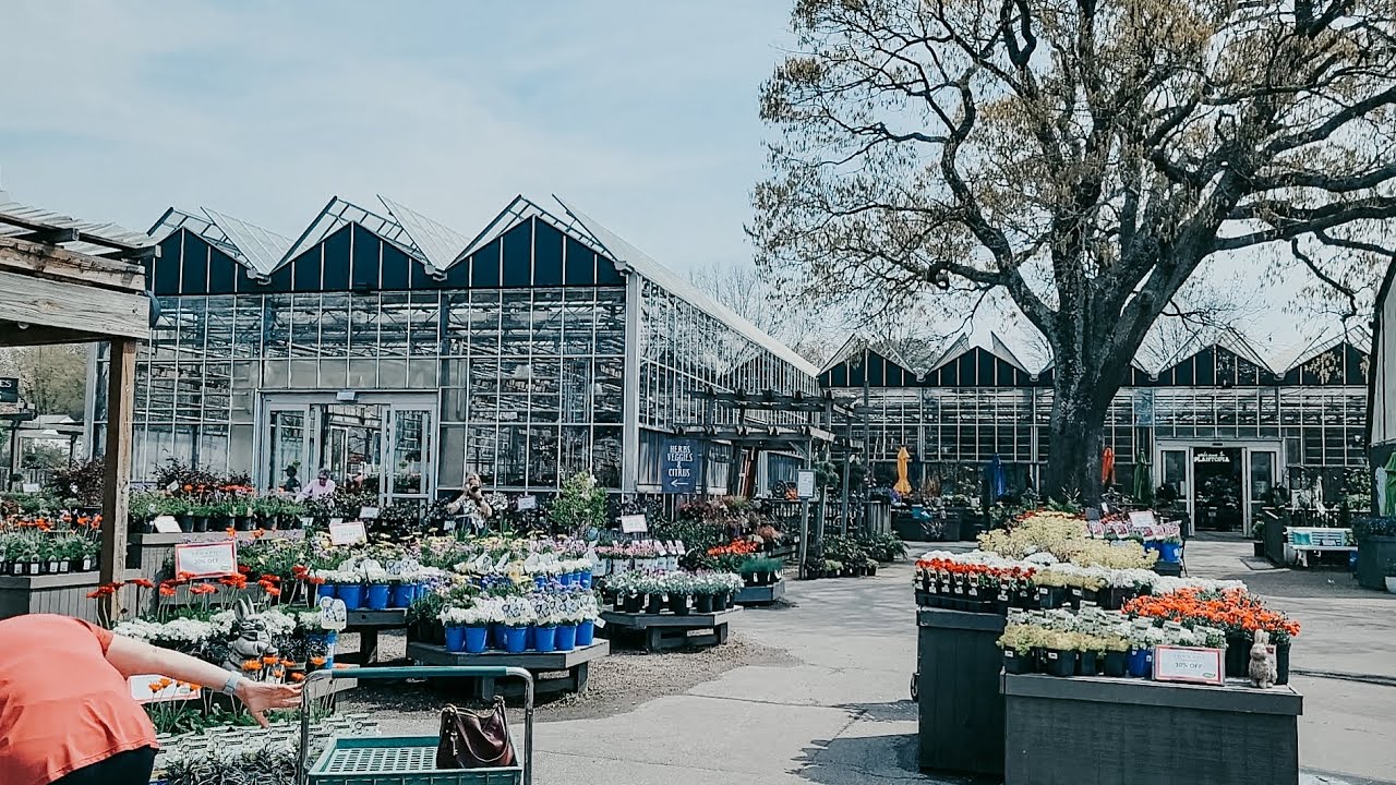 Plant Shopping Adventure. Garden Center Paradise. Plant Greenhouse ...
