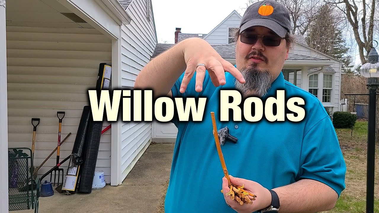 How to: Start Willow Rods - YouTube