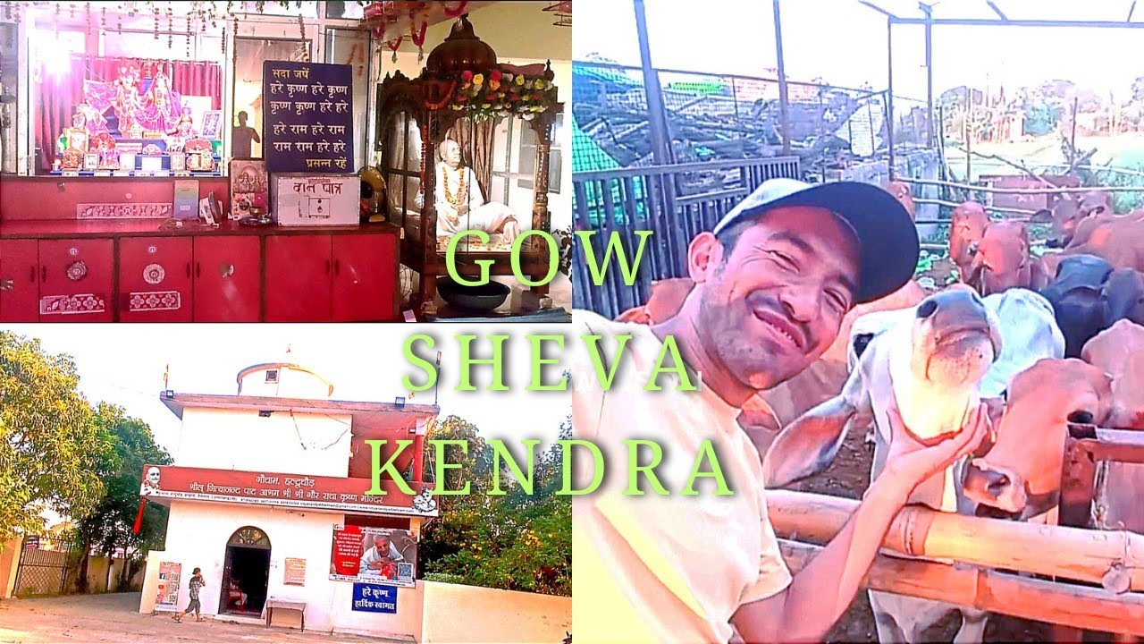 Kumon ki sabse badi gowsala #uttarakhand #kumoun #gowsala - YouTube