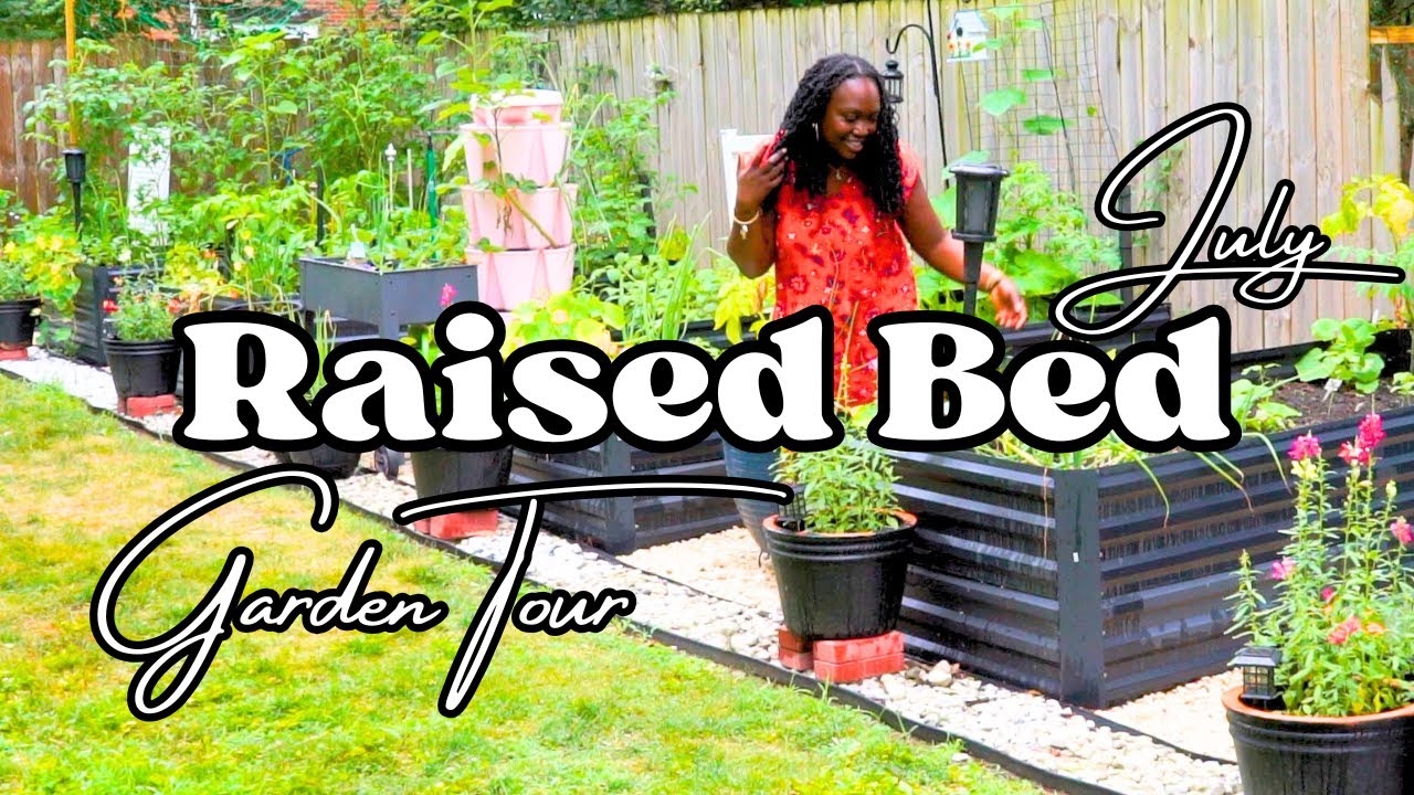 What I am Growing in my Raised Garden Beds in July 🍃 NW Ohio Zone 6b ...