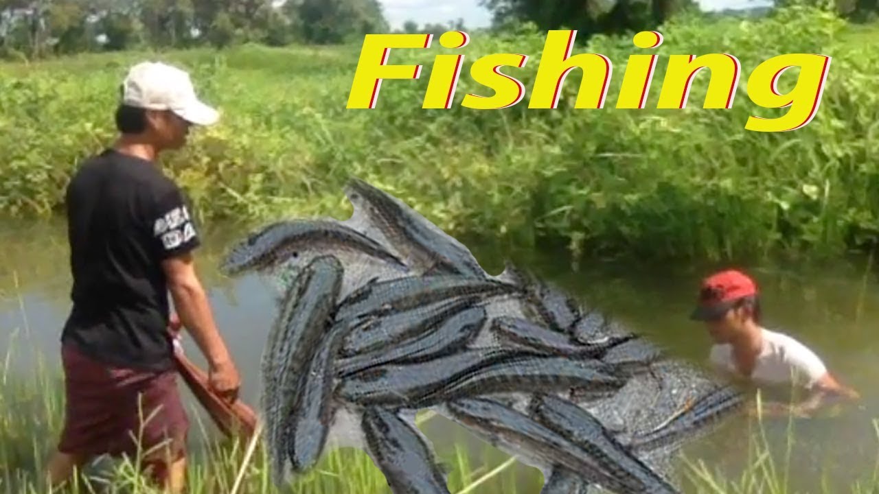 Fishing Amazing | Beautiful Fishing at Pailin | Traditional Fishing ...