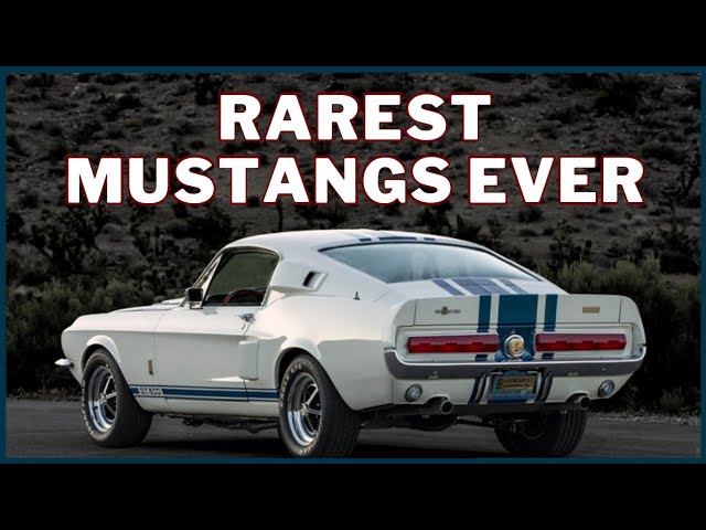 What Are The Rarest Mustangs - Infoupdate.org