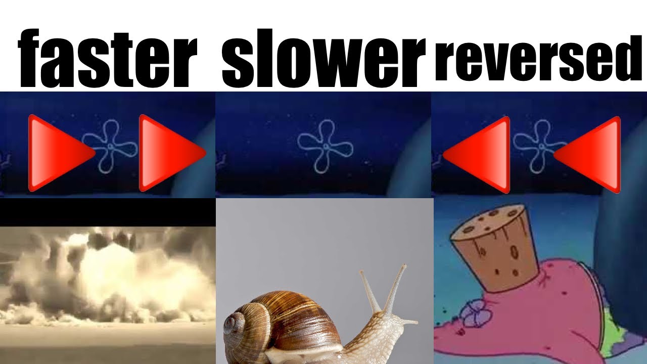 Spiders! But it’s faster, slower, and reversed! - YouTube