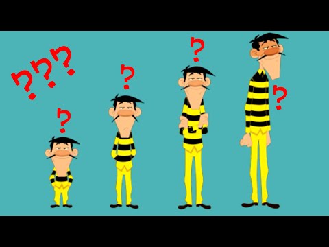 4 MƏHKUM - ƏN ÇƏTİN MƏNTİQİ SUAL ( məntiq dərsləri,  məntiqi suallar)