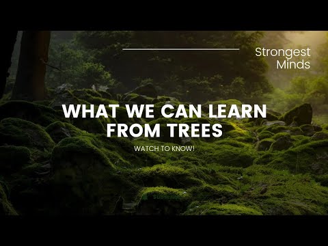 The Mental Health Lessons We Can Learn from Trees - YouTube