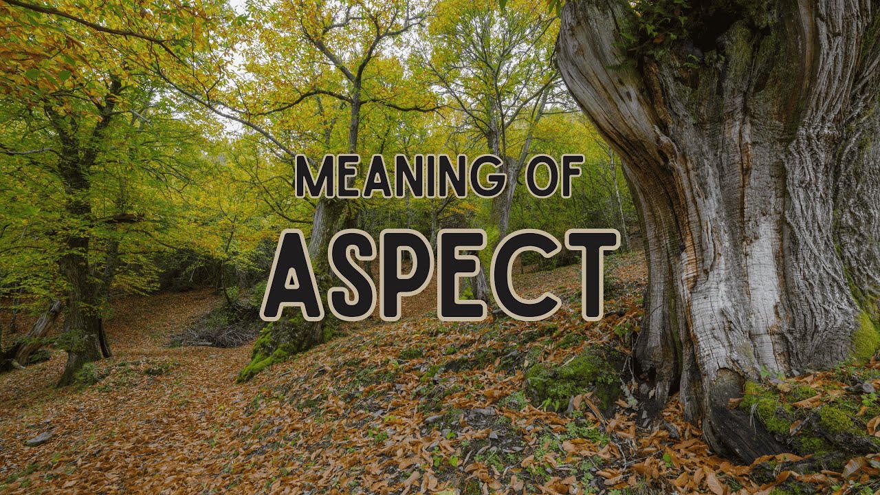 What is the meaning of Aspect? - YouTube
