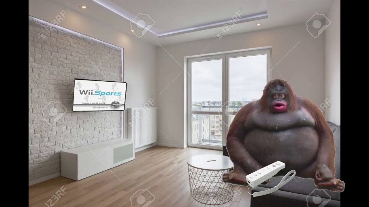 le monke gets a wii - YouTube