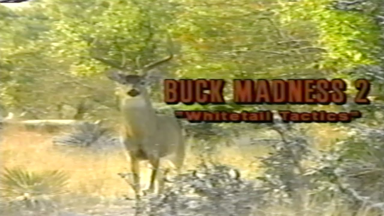 BUCK MADNESS 2 (1993) — Wellington Outdoors [VHS Rip / Digitization ...