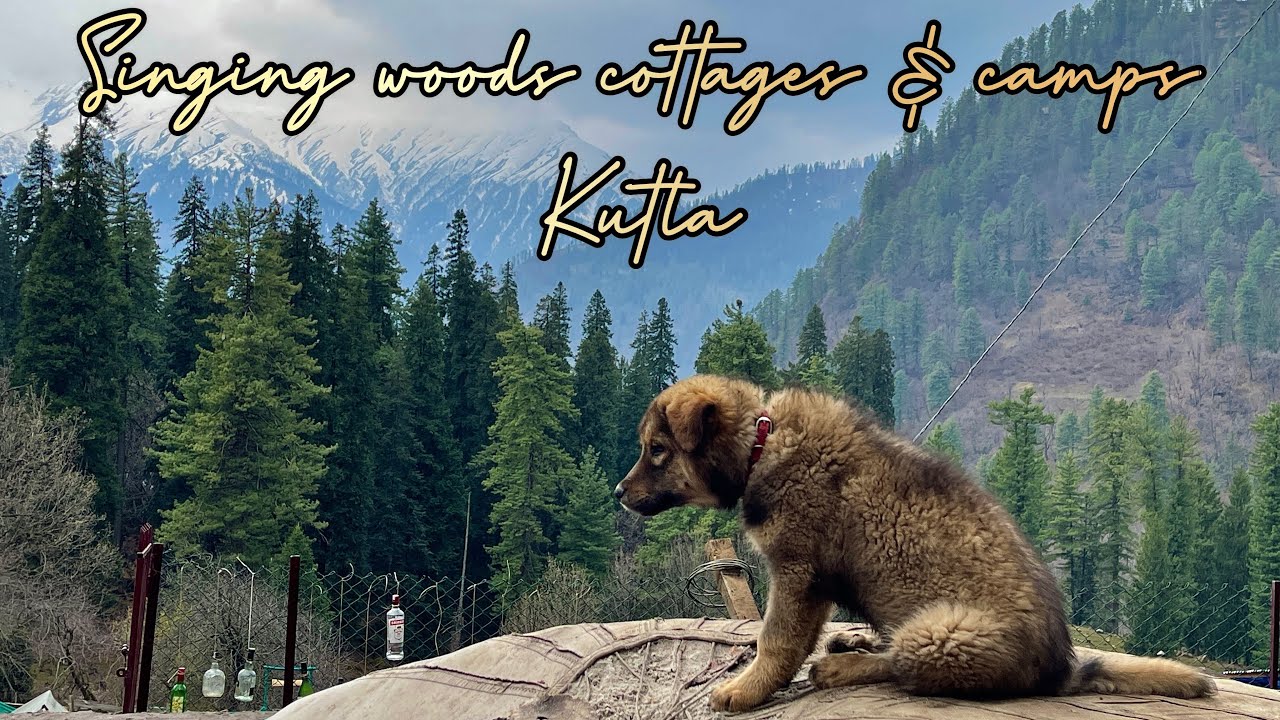 Our stay in Kutla | Singing Woods Cottages and Camps - YouTube