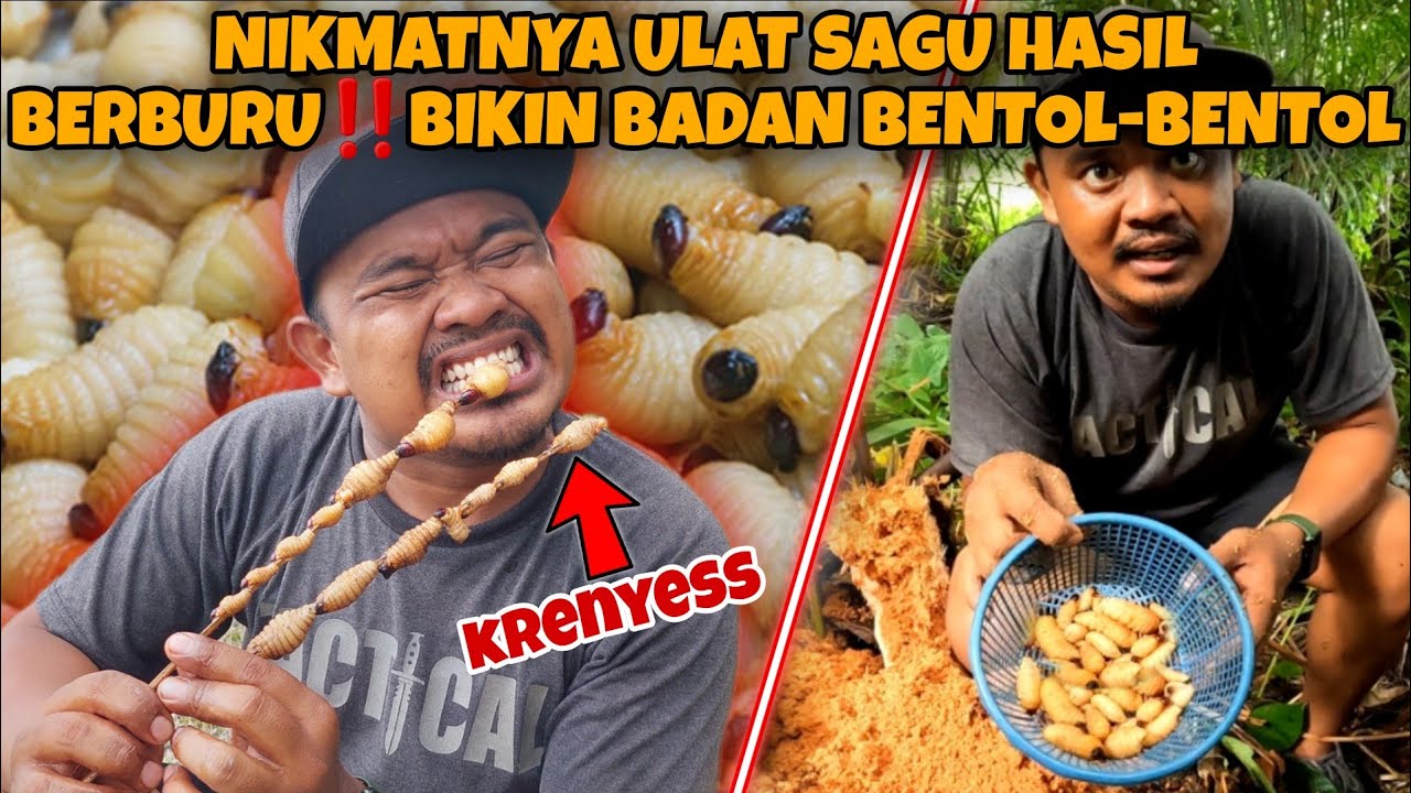 NIKMATNYA ULAT SAGU BAKAR‼️BIKIN BADAN BENTOL - BENTOL - YouTube
